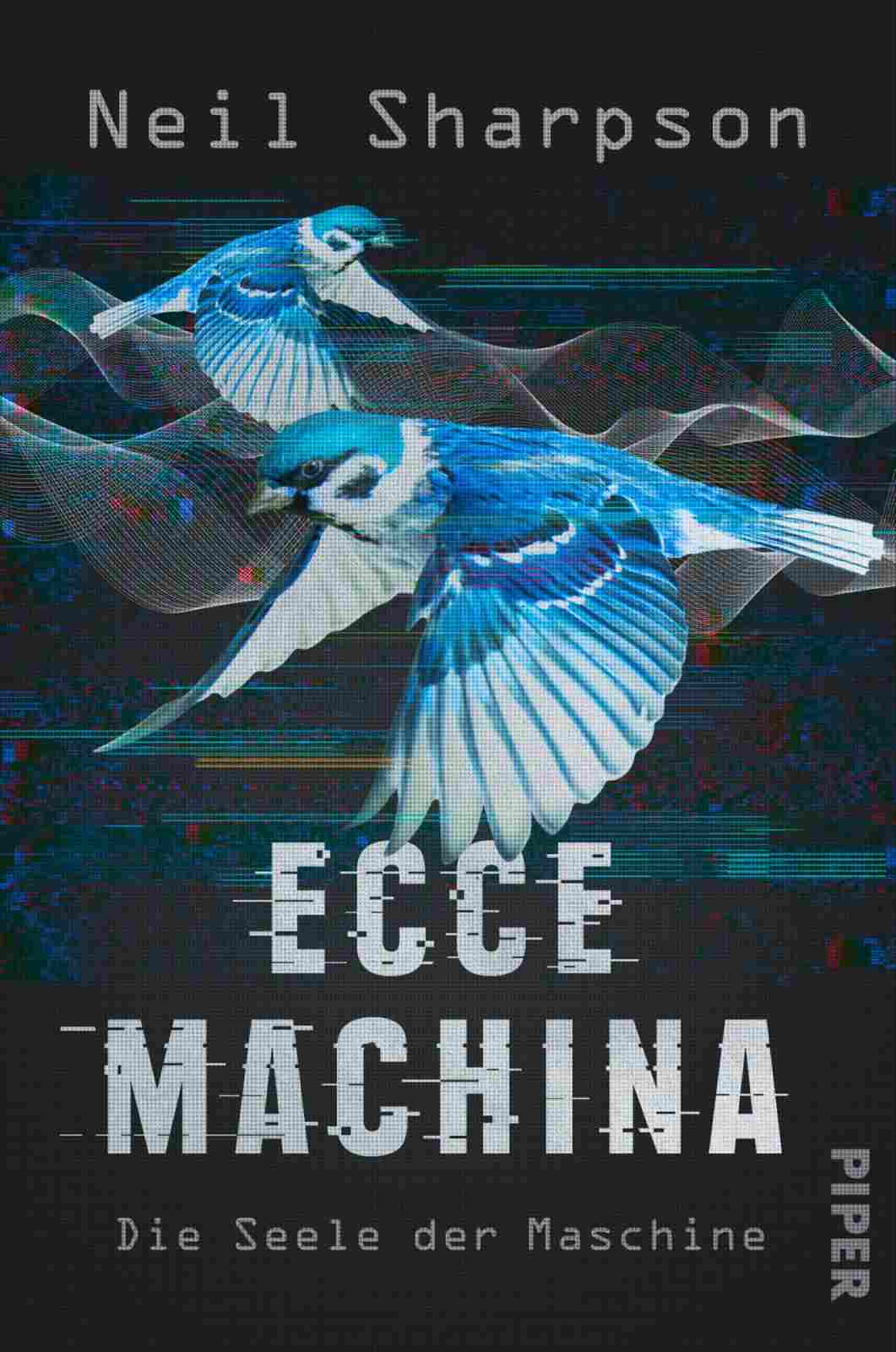 Ecce Machina – Inhalt | BUCHSZENE.DE