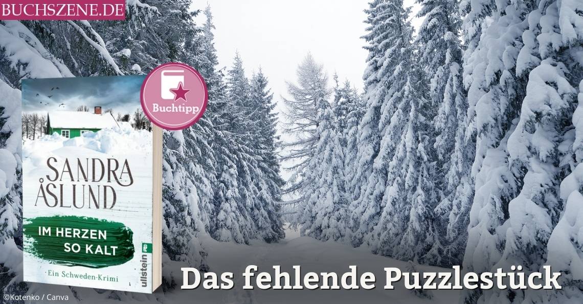 Sandra Aslund: Im Herzen so kalt | BUCHSZENE.DE